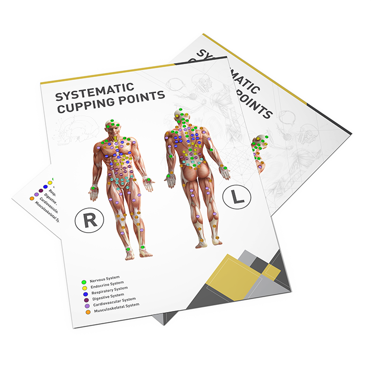 A3 Poster Systematic Cupping Points – The Suuk